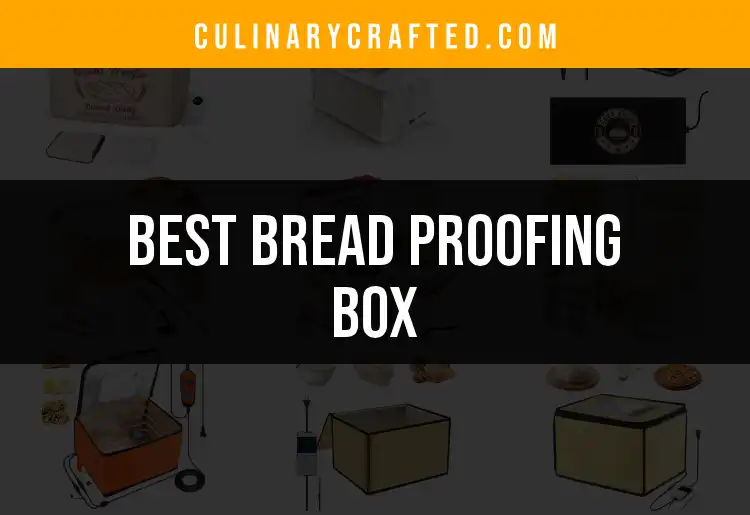 10 Best Bread Proofing Boxes for Perfect Loaves