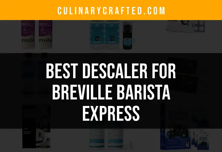 13 Best Descalers for Breville Barista Express Buyers