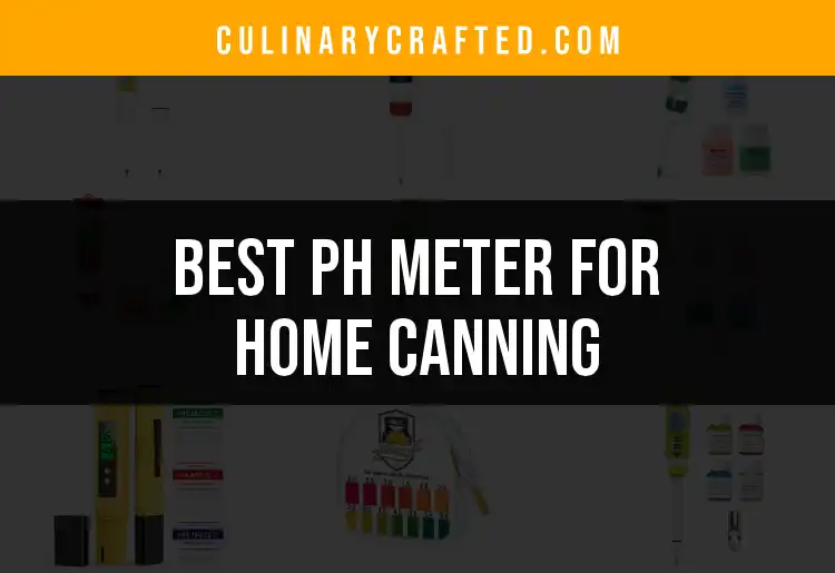 15 Best pH Meters for Home Canning You Should Consider